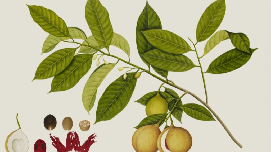 Discovering the Artistic Brilliance of Derpixon: A Deep Dive into their ...