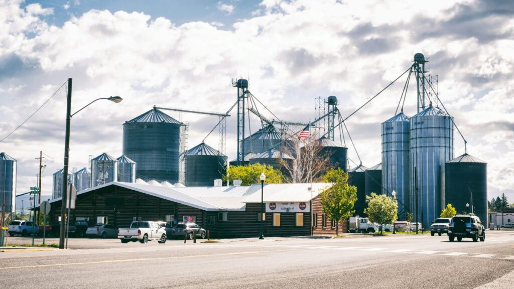 Ashton meem: A Closer Look at the Life and Impact of ashton meem - Vamonde