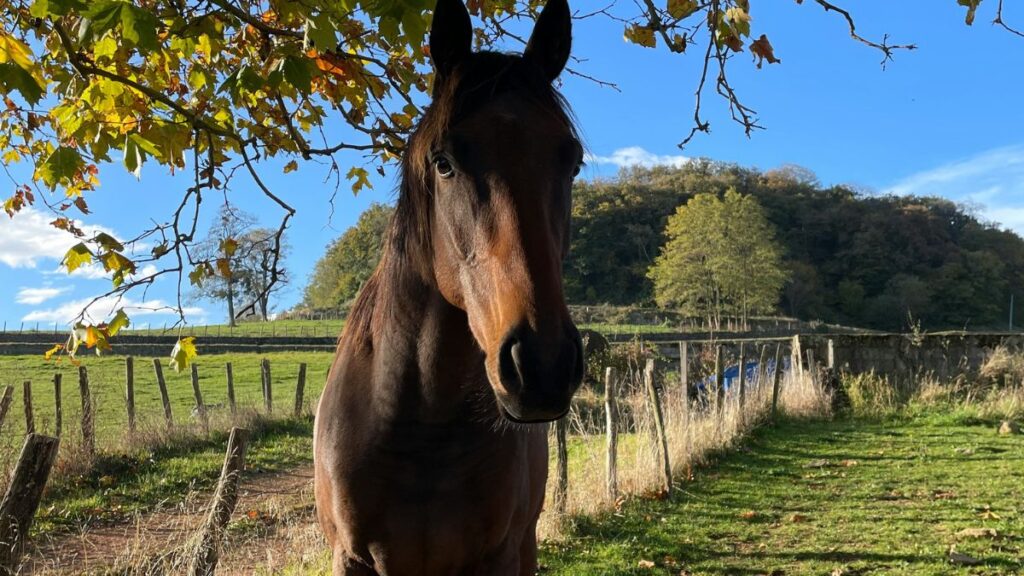 Jenna aze: Unveiling the life and works of an influential figure - Vamonde