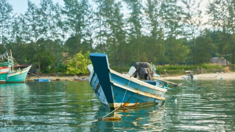 Exploring the History and Legacy of rupp rafters: A Must-Read Blog ...