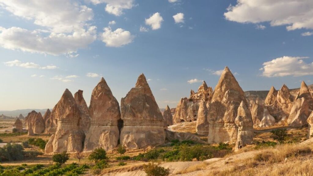 Unlocking the Mysteries of atfboru: A Comprehensive Guide - Vamonde