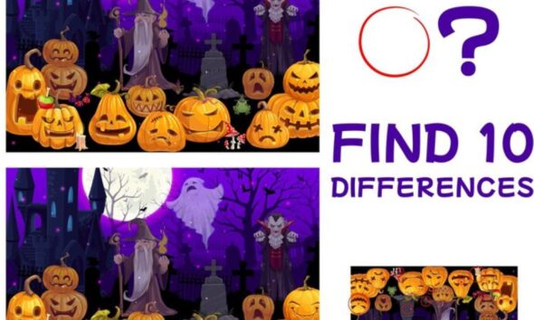 Sandra orlow: Unraveling the Story of an Iconic Figure - Vamonde