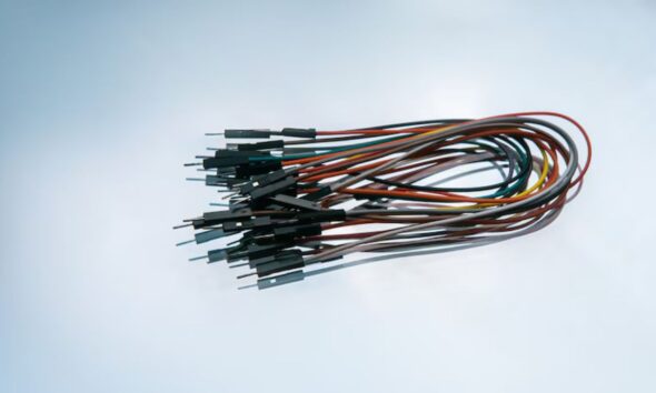 Sandra orlow: Unraveling the Story of an Iconic Figure - Vamonde